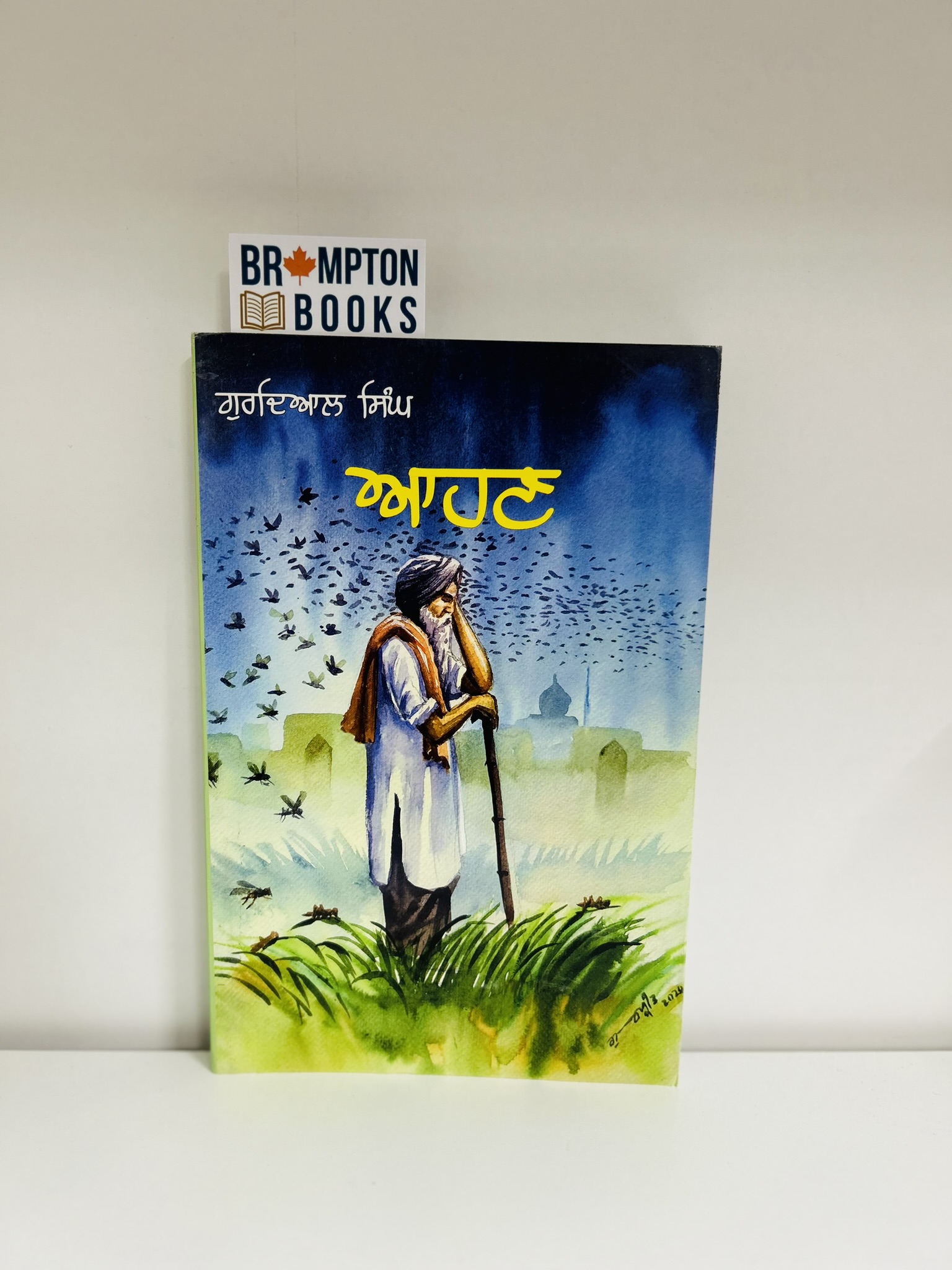 ਆਹਣ , Aahan -Gurdial singh – Brampton Books